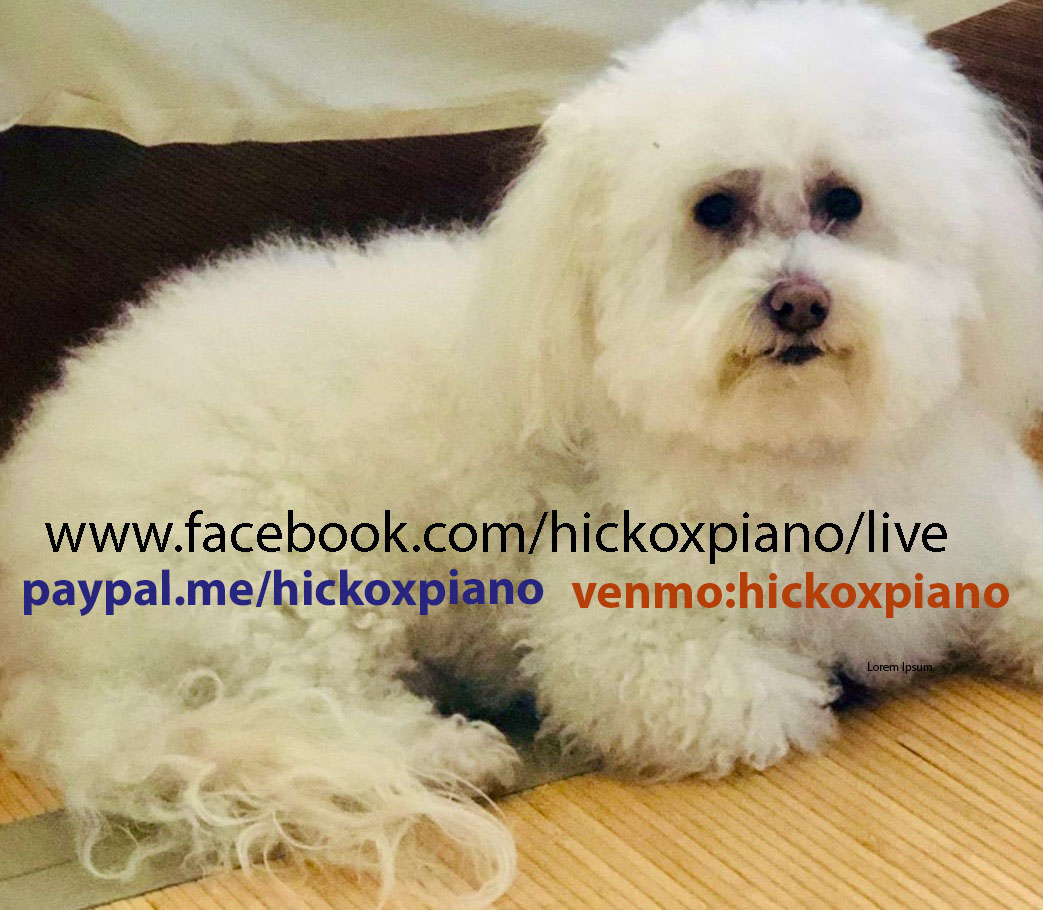 The Arkestra de Fairfax – charlie hickox – piano player